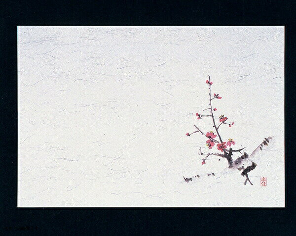 四季紙 日本の四季に応じたおもてなし■四季紙・千寿シリーズ ※御注文の際は、100枚単位でお願いします。季節のささやきに気づいていますか…。日本の四季のうつり変わりには、じつに微妙なものがあります。日々のこまやかな情緒、心情を春夏秋冬、それ...