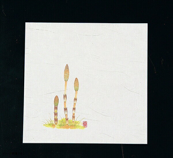 ●和紙の表面に特殊加工してありますので、絵柄の上に直接 食品を載せて頂けます。●水分・油分を通さず、盛り付けの美しさを保ちます。※御注文の際は、100枚単位でお願いします。幅×奥行(mm):150×150