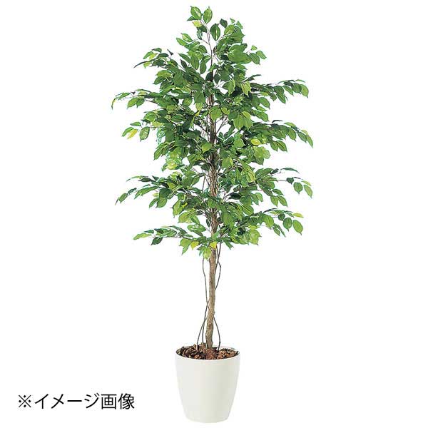 ※メーカー希望小売価格はメーカーカタログに基づいて掲載しています。(カタログ表示価格は消費税が含まれていません)●カタログコード:9-2577-0701、8-2533-0701ハイグレードなアーティフィシャルグリーンです。ホワイトを基調にし...