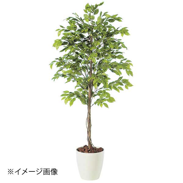 ※メーカー希望小売価格はメーカーカタログに基づいて掲載しています。(カタログ表示価格は消費税が含まれていません)●カタログコード:9-2577-0103、8-2533-0103ハイグレードなアーティフィシャルグリーンです。ホワイトを基調にし...