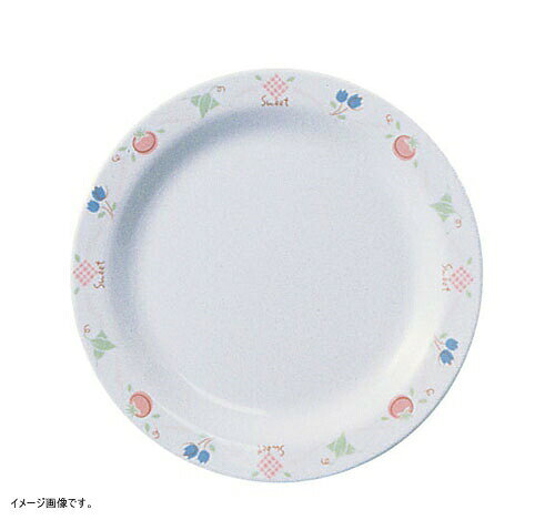 メラミン｢アプリケ｣シリーズ※洗浄器対応直径×高さ(mm)_質量(kg):210×19_0.168