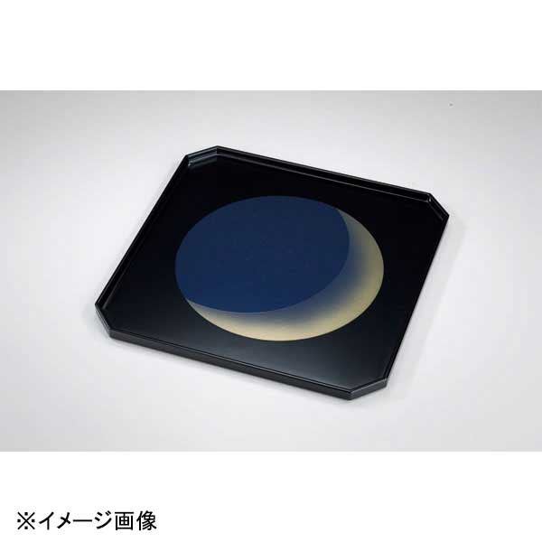 ※受注生産品（納期目安：約1か月）商品によって納期が変わりますので、詳しくはお問い合わせください。●サイズ(cm)：33×33×1.7●材質：A(ABS樹脂・熱可塑性樹脂)※メーカー希望小売価格はメーカーカタログに基づいて掲載しています。(...
