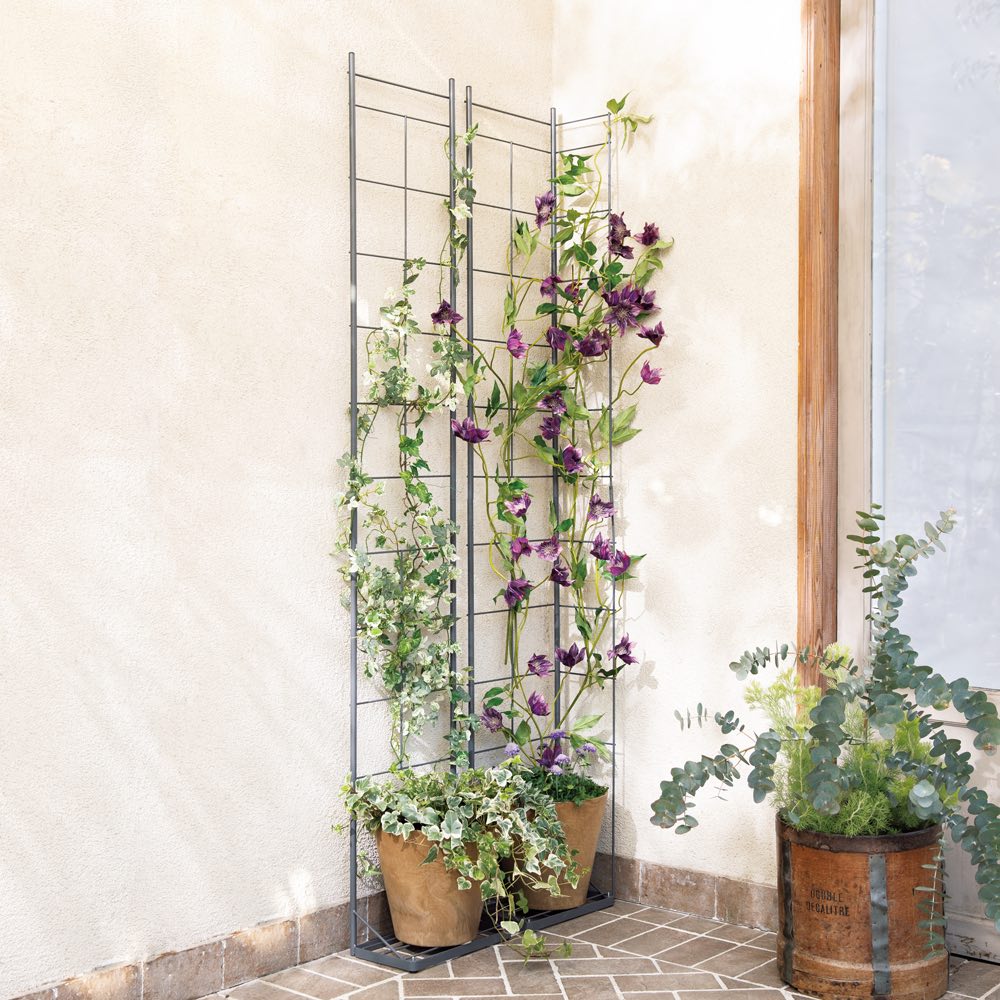 ■奥行18cmというコンパクトサイズ。バルコニーやテラス・玄関先など、狭いスペースでも空間を有効活用しながら植物を楽しむことができます。トレリス全体が均一でスマートな印象に♪半日陰でも育つアイビーやハゴロモジャスミンがおすすめ！■高さは18...