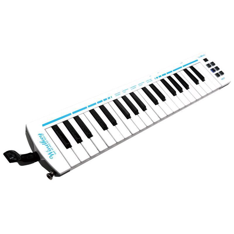 楽器種別：新品TAHORNG/新品 商品一覧＞＞電子ピアノ・その他鍵盤楽器【15，000円〜40，000円】 商品一覧＞＞その他鍵盤楽器/TAHORNG 商品一覧＞＞1998年開店 渋谷発・国内最大級DJ機器専門店です！TAHORNG WK...