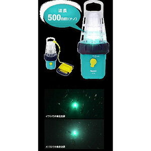 魚を集めて喰いを刺激する！LED水中集魚灯が新登場 ご好評頂いている水中集魚灯に光りの「1/fゆらぎ」（AUTO）モードを搭載したLEDバージョンが新登場 白色LEDでエサを寄せ、魚が最も反応する500nmのLEDと「1/fゆらぎ」で魚の摂...
