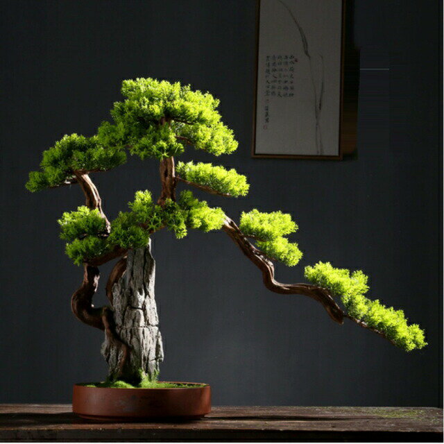 商品説明葉の材質：エコプラスチック+セラミック幹の材質：自然木（特殊加工）鉢の材質：陶器製外寸サイズ:幅65 x 奥行20 x 高さ55（cm)※天然素材を使用し、ハンドメイドで作成した商品になりますので、そのため製作時期によって若干画像と...