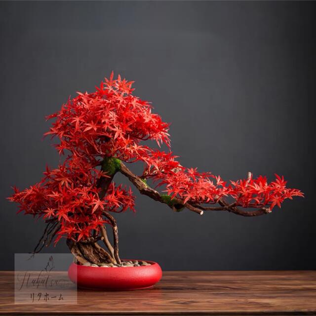 商品説明葉の材質：エコプラスチック+セラミック幹の材質：自然木（特殊加工）鉢の材質：陶器製サイズ:幅63 x 高さ43（cm)※天然素材を使用し、ハンドメイドで作成した商品になりますので、そのため製作時期によって若干画像と異なる場合がありま...