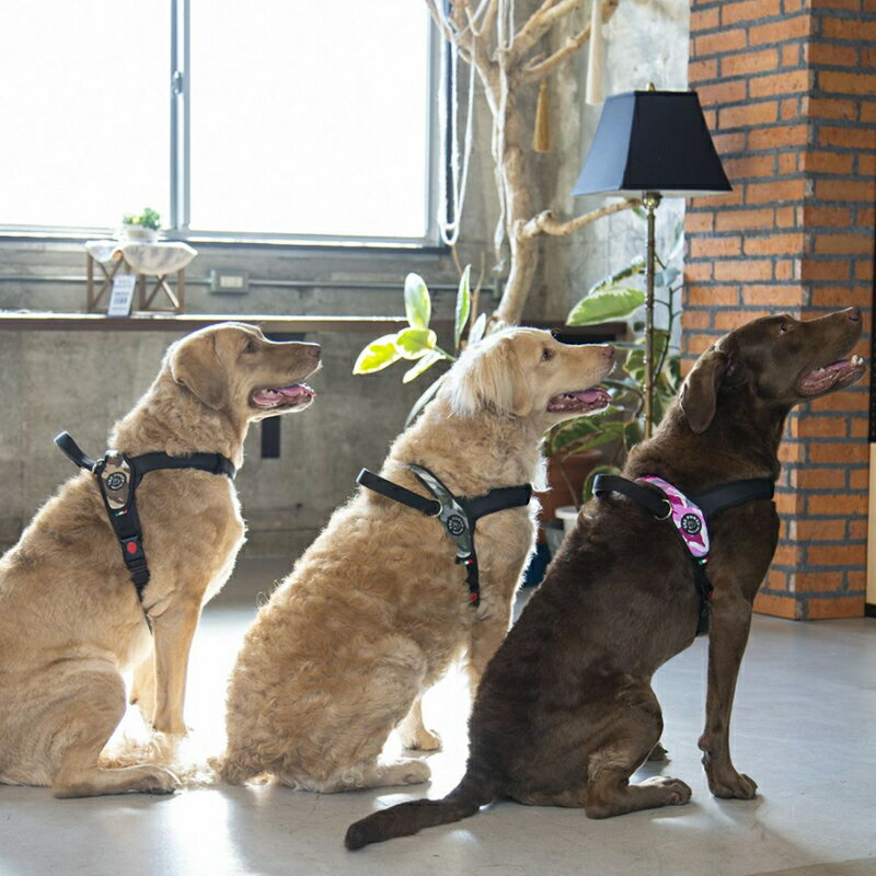 中型犬、大型犬のために開発された迷彩柄のハーネスです。愛犬のあらゆる動きを妨げないように設計されており、背面のハンドルで急な動きもコントロールできます。前胸にはソフトパッド付き。洗練されたデザインはスイム等のアクティブなスポーツにも適してい...