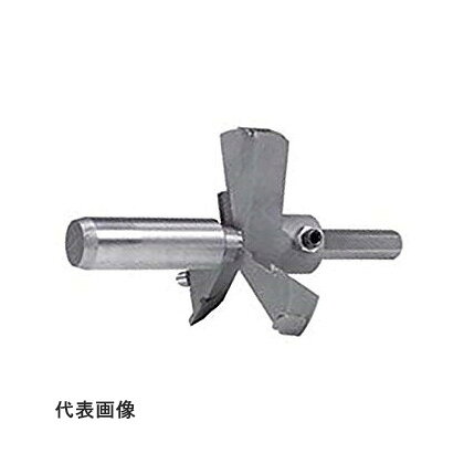 　パーツ・部品 ■No.28　超硬座掘錐　大口径　軸軽13　ガイド 特長 カッターにセットし、先にあけた下穴にガイドを差込、座掘を行います。 ※サイズをクリックくださいーー＞＞ サイズ・品名 全長 ネジ丈 軸径 18 150 70 21 パ...