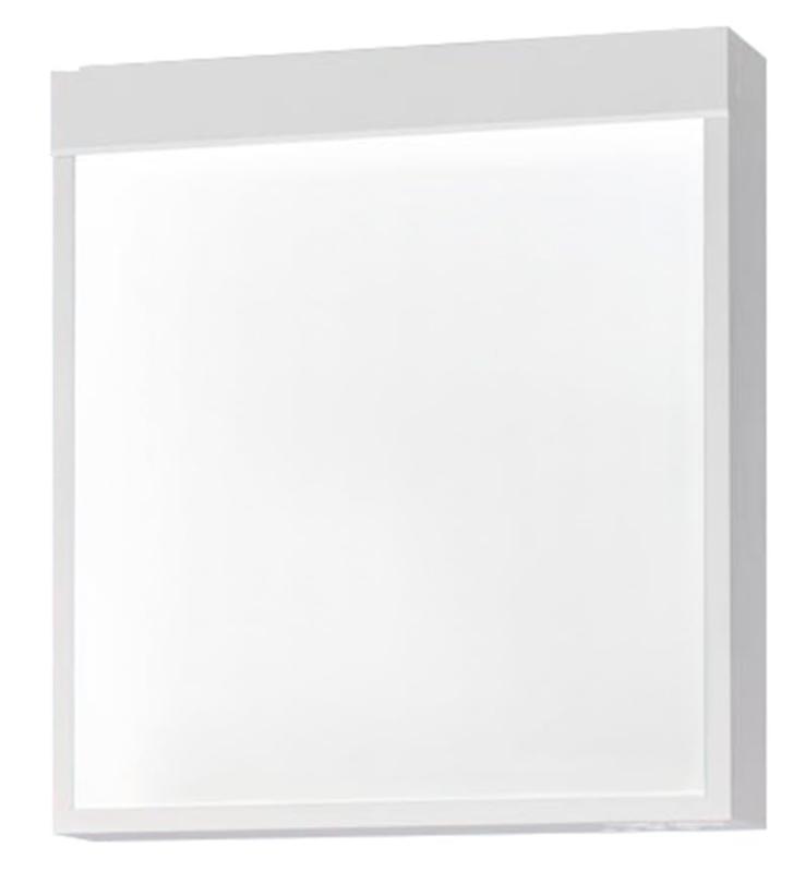 パナソニック(Panasonic) 天井直付型・壁直付型・天井吊下型 LED誘導灯 片面型・一般型（20分間） B級・BH形(20A形) FA40312CLE1寸法:幅218mm、高さ:241mm、出しろ:48mm、質量:1.3kg(質量補...