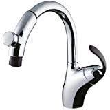 TOTO ハンドシャワー部 TH5C0288ハンドシャワー部