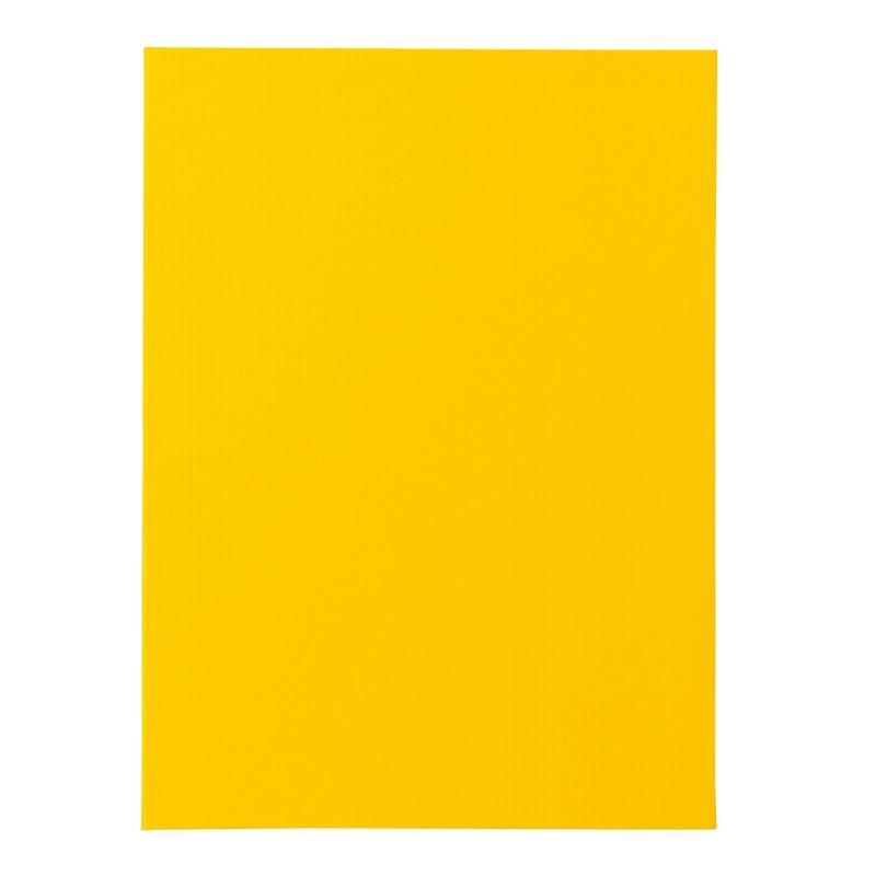 ライオン事務器 ファイル ポケットホルダー アコルデ A4S No.54CL-Y イエロー【規格】A4判S型【仕様】両面ポケット式【表紙】布クロス(縦ライン・シボ柄)貼り【芯材】再生紙【色】イエロー