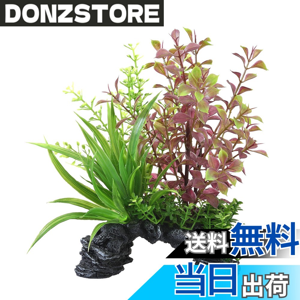 商品情報商品の説明商品紹介 入れるだけ簡単 華やかなレイアウトが完成! 寄せ植えプランツで簡単レイアウト 水槽に入れるだけで華やかなレイアウトが完成する寄せ植えプランツ 石とプランツのミックスタイプ。1つ置くだけでリアルな水景を演出します。...