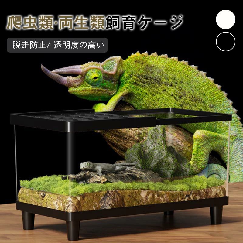 商品情報商品名※実寸はサイズ表記と多少の誤差が生じることを予めご了承ください。生産国 中国【全景可視で死角なしの観察】 透明な素材を使用したデザインにより、ペットの動きをあらゆる角度から観察でき、ペットの様子を詳細に楽しむことができます。亀...