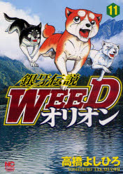 ■ISBN:9784537127638★日時指定・銀行振込をお受けできない商品になりますタイトル銀牙伝説WEED　オリオン　　11　高橋　よしひろ　著ふりがなぎんがでんせつうい−どおりおん11WEEDにちぶんこみつくす52972−06発売日...