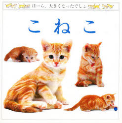 ■ISBN:9784566005570★日時指定・銀行振込をお受けできない商品になります商品情報商品名こねこ　ジェーン・バートン/写真　アンジェラ・ロイストン/文　山口文生/訳フリガナコネコ　ジドウ　トシヨカン　エホン　ノ　ヘヤ　ホ−ラ　オ...