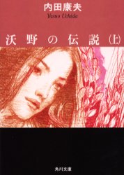 ■ISBN:9784041607473★日時指定・銀行振込をお受けできない商品になりますタイトル沃野の伝説　上　内田康夫/〔著〕ふりがなよくやのでんせつ1かどかわぶんこ発売日199910出版社角川書店ISBN9784041607473大きさ...