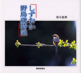 ■ISBN:9784783805359★日時指定・銀行振込をお受けできない商品になりますタイトル【新品】【本】しずおか野鳥歳時記　福与義憲/著フリガナシズオカ　ヤチヨウ　サイジキ発売日199912出版社静岡新聞社ISBN9784783805...