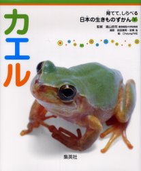■ISBN/JAN:9784082200022★日時指定・銀行振込をお受けできない商品になります商品情報商品名カエル　福山欣司/監修　前田憲男/撮影　安東浩/撮影　Cheung*ME/絵フリガナカエル　ソダテテ　シラベル　ニツポン　ノ　イキ...
