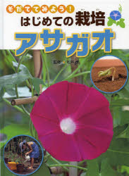 ■ISBN:9784323042428★日時指定・銀行振込をお受けできない商品になりますタイトルアサガオ　松井孝/監修ふりがなあさがおそだててみようはじめてのさいばい発売日201303出版社金の星社ISBN9784323042428大きさ3...