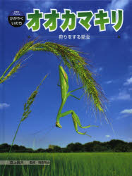 ■タイトルヨミ：オオカマキリカリオスルコンチユウカガクノアルバムカガヤクイノチ15■著者：森上信夫／著 岡島秀治／監修■著者ヨミ：モリウエノブオオカジマシユウジ■出版社：あかね書房 動物・植物・魚・虫■ジャンル：児童 学習 動物・植物・魚・...