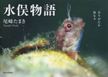 ■タイトルヨミ：ミナマタモノガタリ■著者：尾崎たまき／著■著者ヨミ：オザキタマキ■出版社：新日本出版社 ■ジャンル：教養 ノンフィクション 社会問題■シリーズ名：0■コメント：■発売日：2014/2/1→中古はこちら商品情報商品名水俣物語　...