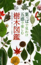■ISBN:9784816355905★日時指定・銀行振込をお受けできない商品になりますタイトル葉っぱで見わけ五感で楽しむ樹木図鑑　林将之/監修　ネイチャー・プロ編集室/編著ふりがなはつぱでみわけごかんでたのしむじゆもくずかん発売日2014...