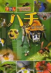 ■ISBN:9784774159775★日時指定・銀行振込をお受けできない商品になります商品情報商品名ずかんハチ　見ながら学習調べてなっとく　松本吏樹郎/監修　coco/写真・イラストフリガナズカン　ハチ　ミナガラ　ガクシユウ　シラベテ　ナ...
