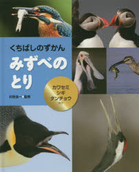■ISBN:9784323041384★日時指定・銀行振込をお受けできない商品になりますタイトルみずべのとり　カワセミ・シギ・タンチョウほかふりがなみずべのとりかわせみしぎたんちようほかくちばしのずかん発売日201503出版社金の星社ISB...