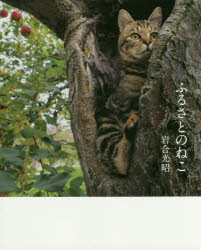 ■ISBN:9784904845554★日時指定・銀行振込をお受けできない商品になります商品情報商品名ふるさとのねこ　岩合光昭/著フリガナフルサト　ノ　ネコ著者名岩合光昭/著出版年月201504出版社クレヴィス大きさ127P　23cm
