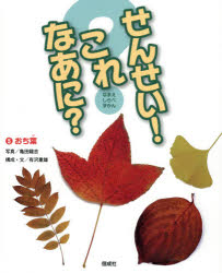 ■ISBN:9784034142509★日時指定・銀行振込をお受けできない商品になりますタイトルせんせい!これなあに?　なまえしらべずかん　5　おち葉ふりがなせんせいこれなあに55なまえしらべずかんおちば発売日201511出版社偕成社ISB...