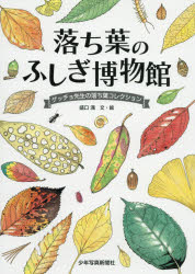 ■ISBN/JAN:9784879816085★日時指定・銀行振込をお受けできない商品になりますタイトル【新品】【本】落ち葉のふしぎ博物館　ゲッチョ先生の落ち葉コレクション　盛口満/文・絵フリガナオチバ　ノ　フシギ　ハクブツカン　ゲツチヨ　...
