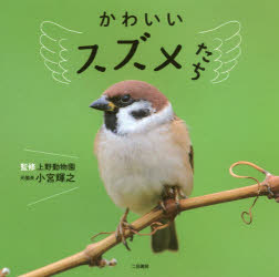 ■ISBN/JAN：9784576171463★日時指定をお受けできない商品になりますタイトル【新品】【本】かわいいスズメたち　小宮輝之/監修フリガナカワイイ　スズメタチ発売日201711出版社二見書房ISBN9784576171463大き...