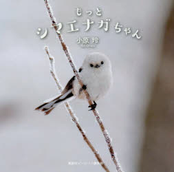 ■ISBN:9784062208659★日時指定・銀行振込をお受けできない商品になりますタイトルもっとシマエナガちゃん　小原玲/著ふりがなもつとしまえながちやん発売日201710出版社講談社ISBN9784062208659大きさ95P　1...
