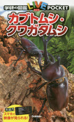 ■ISBN:9784052047039★日時指定・銀行振込をお受けできない商品になりますタイトルカブトムシ・クワガタムシふりがなかぶとむしくわがたむしがつけんのずかんらいぶぽけつと10がつけん/の/ずかん/LIVE/POCKET10発売日2...