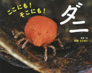 ■ISBN:9784591160336★日時指定・銀行振込をお受けできない商品になりますタイトルここにも!そこにも!ダニ　皆越ようせい/写真・文ふりがなここにもそこにもだにふしぎいつぱいしやしんえほん35発売日201811出版社ポプラ社IS...
