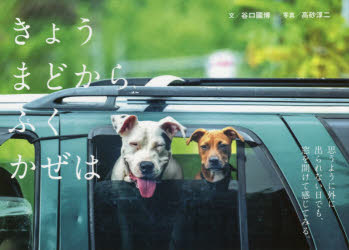 ■ISBN:9784418208050★日時指定・銀行振込をお受けできない商品になりますタイトルきょうまどからふくかぜは　谷口國博/文　高砂淳二/写真ふりがなきようまどからふくかぜわ発売日202005出版社世界文化ワンダークリエイトISBN...