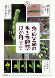 ■ISBN:9784829990230★日時指定・銀行振込をお受けできない商品になりますタイトル身近な草の生き方観察12か月　鈴木純/著ふりがなみじかなくさのいきかたかんさつじゆうにかげつみじか/な/くさ/の/いきかた/かんさつ/12かげつ...