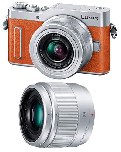 【メーカー名】パナソニック(Panasonic)【メーカー型番】【ブランド名】パナソニック(Panasonic)【商品説明】パナソニック ミラーレス一眼カメラ ルミックス GF10 ダブルレンズキット 標準ズームレンズ/単焦点レンズ付属 オ...