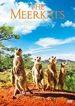 【商品名】ミーアキャット スペシャル・エディション [DVD]【メーカー名】角川エンタテインメント【メーカー型番】【ブランド名】スタイルジャム【商品説明】ミーアキャット スペシャル・エディション [DVD]当店では初期不良に限り、商品到着か...