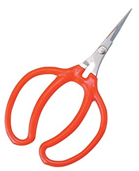 【商品名】越路 ステンレス 芽摘・摘粒手曲鋏 S-13【メーカー名】小林製鋏【メーカー型番】S-13【ブランド名】小林製鋏【商品説明】越路 ステンレス 芽摘・摘粒手曲鋏 S-13当店では初期不良に限り、商品到着から7日間は返品を 受付けてお...
