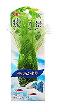 【中古品】ジェックス プランテリア ケヤリ草 S【メーカー名】ジェックス【メーカー型番】【ブランド名】ジェックス【商品説明】ジェックス プランテリア ケヤリ草 S本体サイズ (幅X奥行X高さ) :7×3×19.5cm本体重量:28g原産国:...