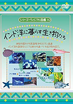 未使用、未開封品ですが弊社で一般の方から買取しました中古品です。一点物で売り切れ終了です。インド洋に暮らす生き物たち [DVD]【メーカー名】エンドレス【メーカー型番】【ブランド名】【商品説明】インド洋に暮らす生き物たち [DVD]当店では...