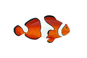 【状態　非常に良い】サファリ レプリカ カクレクマノミ【メーカー名】サファリ(SAFARI)【メーカー型番】261829【ブランド名】サファリ(SAFARI)【商品説明】サファリ レプリカ カクレクマノミ本体サイズ:15.4×4×6cm当店...
