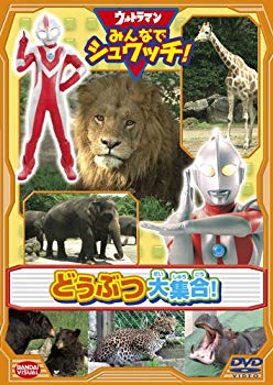 未使用、未開封品ですが弊社で一般の方から買取しました中古品です。一点物で売り切れ終了です。ウルトラマン みんなでシュワッチ! どうぶつ大集合! [DVD]【メーカー名】バンダイビジュアル【メーカー型番】【ブランド名】バンダイビジュアル【商品...