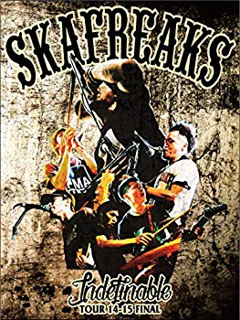 Indefinable TOUR 14-15 FINAL [DVD]【メーカー名】ダイキサウンド【メーカー型番】【ブランド名】Tv Freak【商品説明】Indefinable TOUR 14-15 FINAL [DVD]当店では初期不良に...