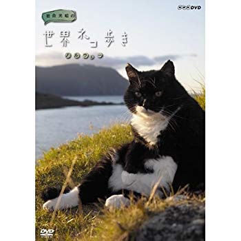 未使用、未開封品ですが弊社で一般の方から買取しました中古品です。一点物で売り切れ終了です。(中古品)岩合光昭の世界ネコ歩き　ノルウェー　DVD【NHKスクエア限定商品】【メーカー名】NHKエンタープライズ【メーカー型番】【ブランド名】NHK...