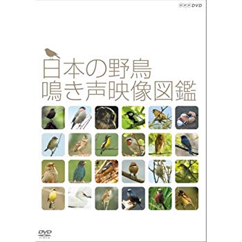 (中古品)日本の野鳥 鳴き声映像図鑑 DVD【NHKスクエア限定商品】【メーカー名】NHKエンタープライズ【メーカー型番】【ブランド名】NHKエンタープライズ【商品説明】日本の野鳥 鳴き声映像図鑑 DVD【NHKスクエア限定商品】当店では初...