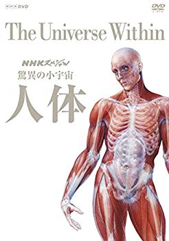 (中古品)NHKスペシャル 驚異の小宇宙 人体 DVD BOX (新価格)【メーカー名】NHKエンタープライズ【メーカー型番】【ブランド名】NHKエンタープライズ【商品説明】NHKスペシャル 驚異の小宇宙 人体 DVD BOX (新価格)お...