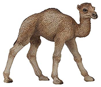 Papo(パポ) ヒトコブラクダの子ども PVC PA50166【メーカー名】パポ(papo)【メーカー型番】50166【ブランド名】パポ(papo)【商品説明】Papo(パポ) ヒトコブラクダの子ども PVC PA50166生産国:ポルト...